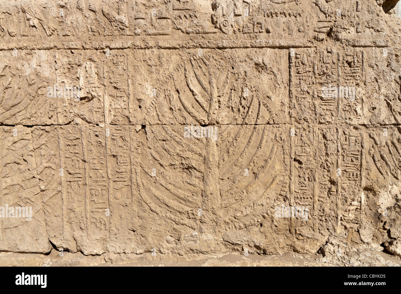 Carved tree from Punt in the Ptolemaic Temples in Wanina, southwest of ...