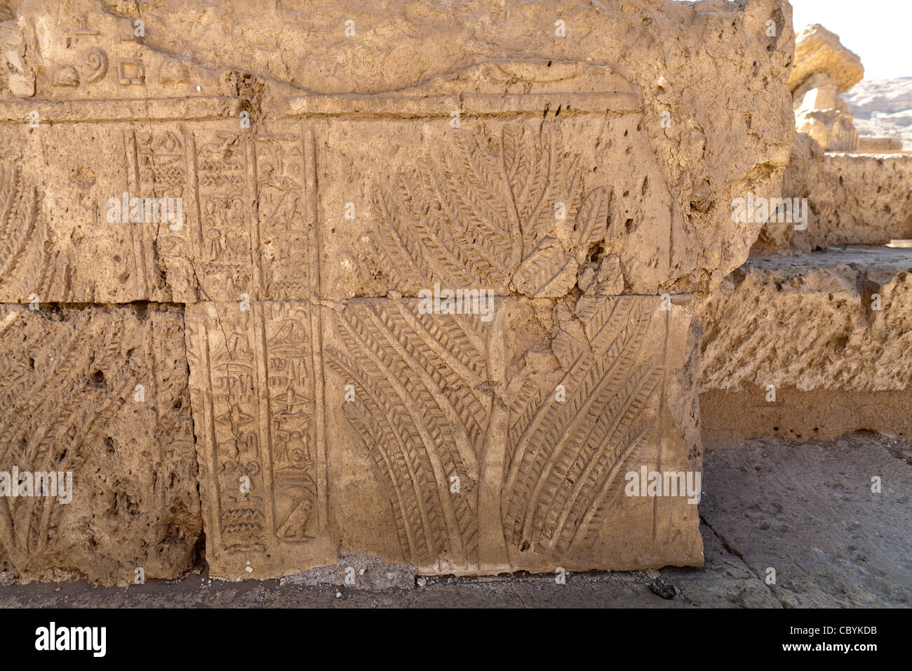 Carved tree from Punt in the Ptolemaic Temple in Wanina, southwest of ...