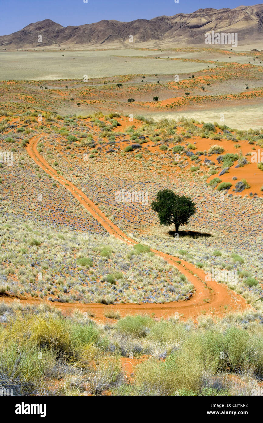 Wolwedans Landscape - NamibRand Nature Reserve - Hardap Region, Namibia ...