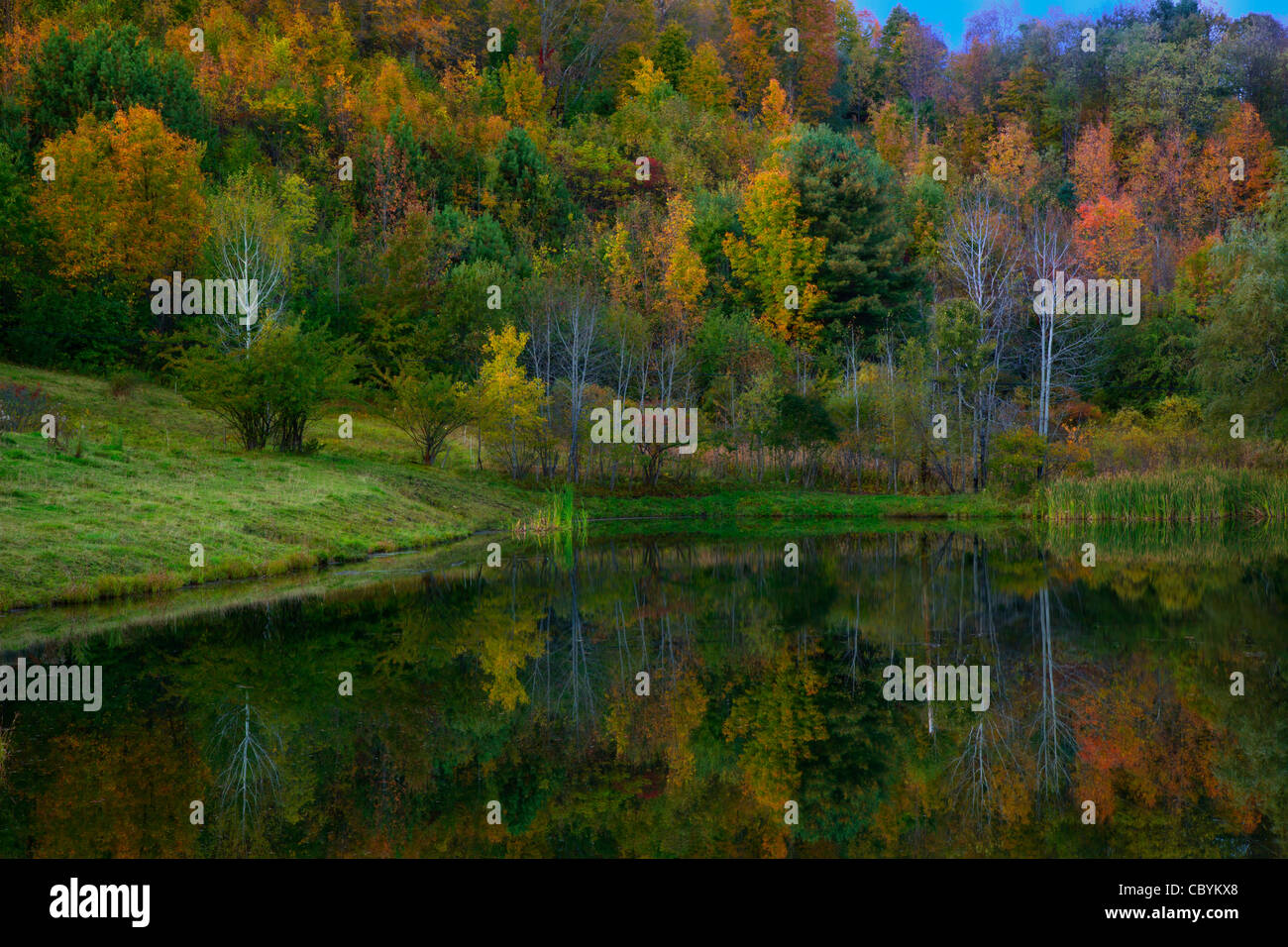Fall colors at a small reflective pond near Pomfret, Vermont Stock ...