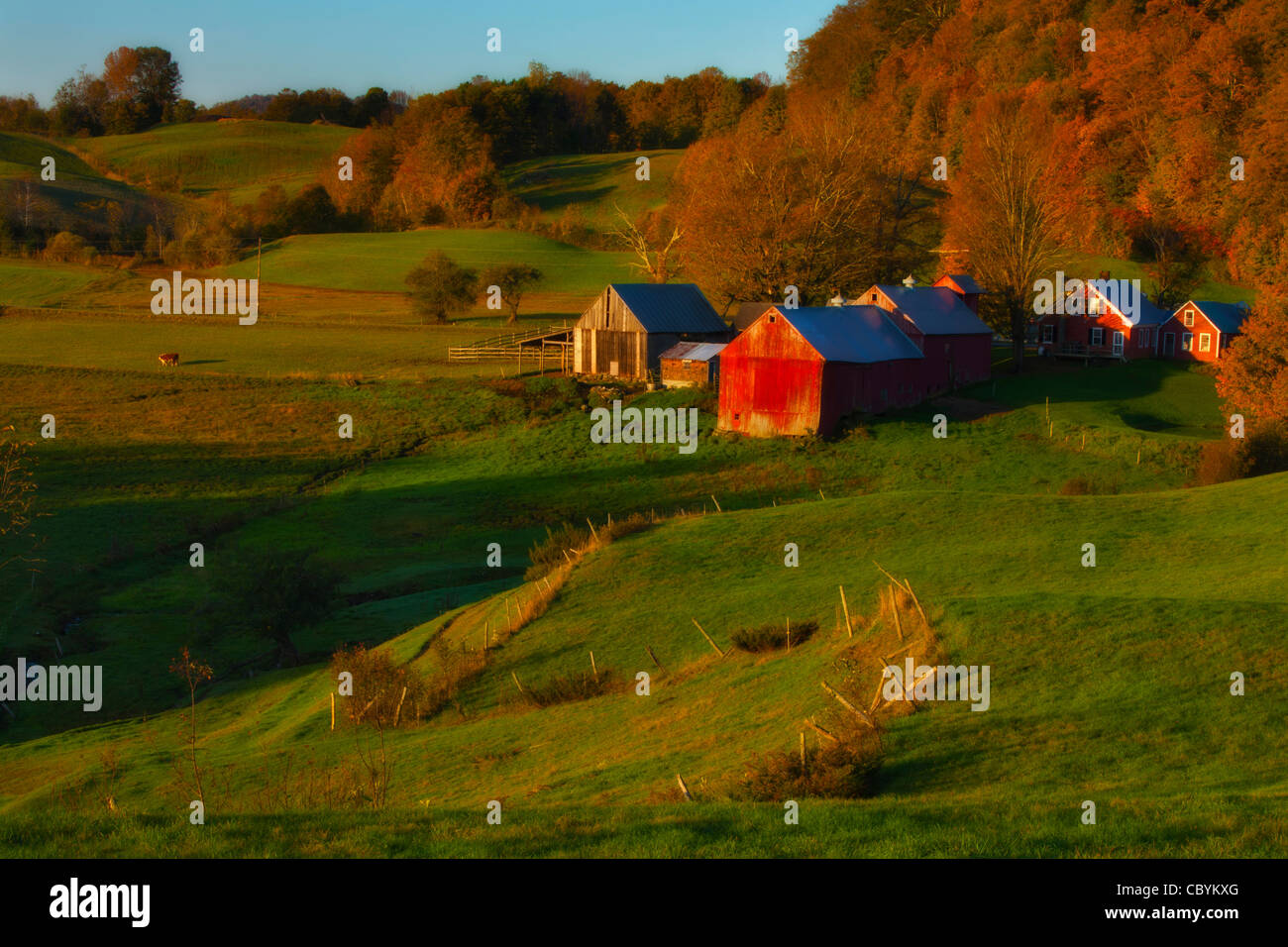 Jenne hi-res stock photography and images - Alamy