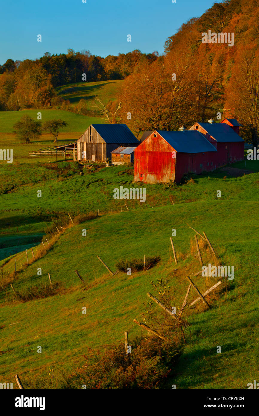 Jenne hi-res stock photography and images - Alamy