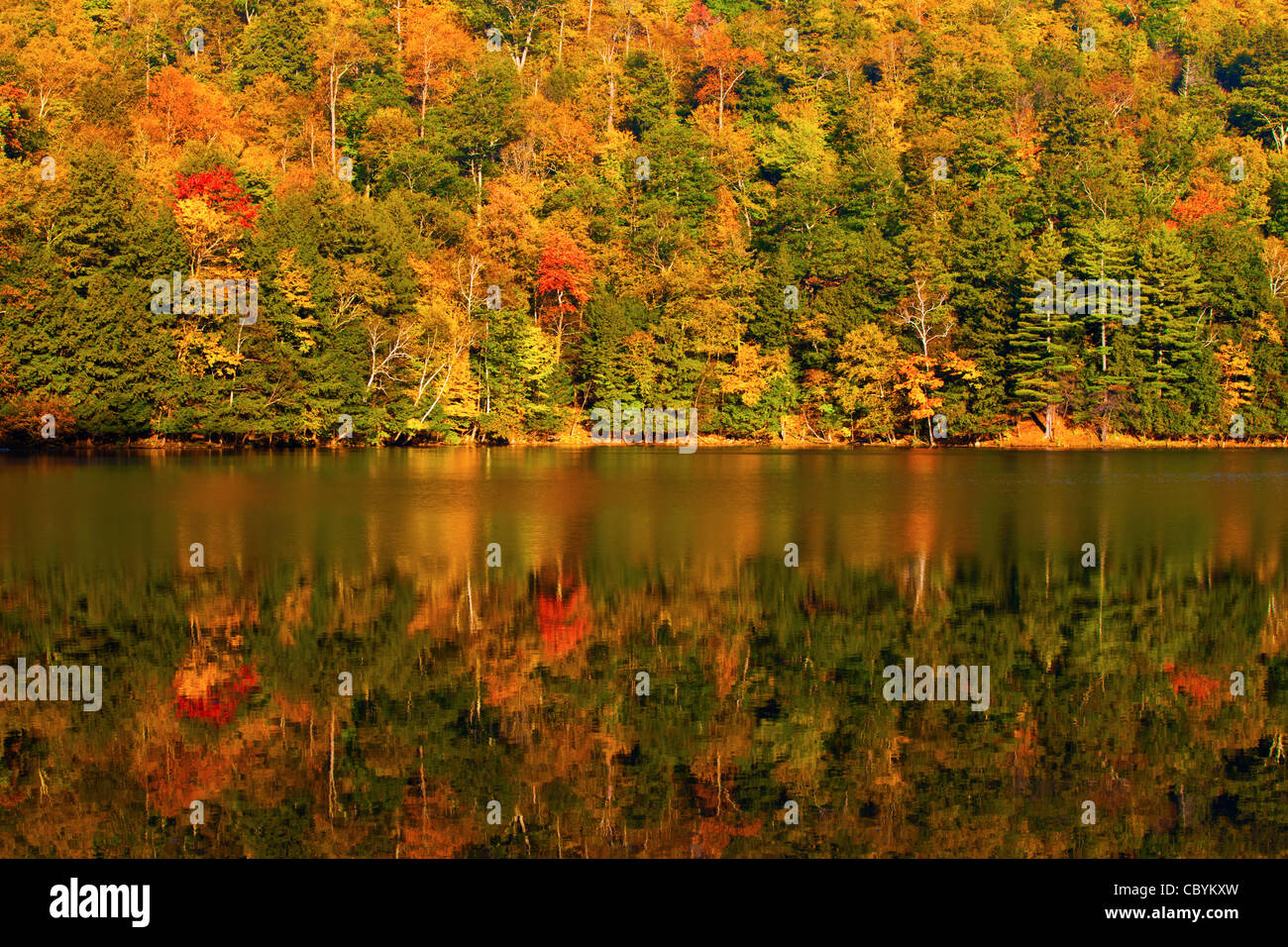 Mirror image of Fall colors on Emerald Lake, Vermont Stock Photo - Alamy