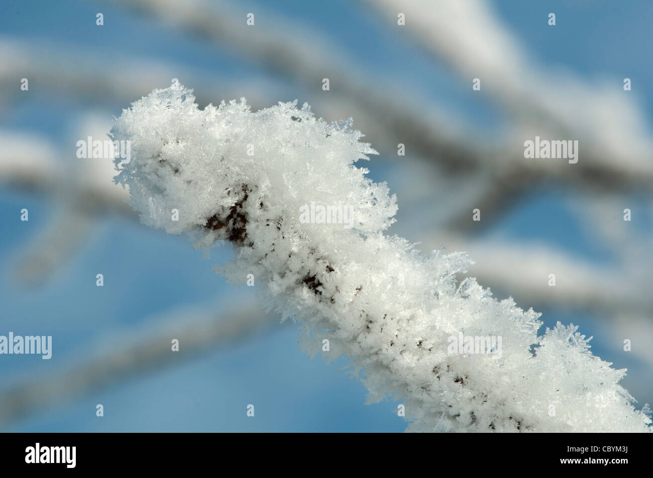 Decorate tree trunk hi-res stock photography and images - Alamy