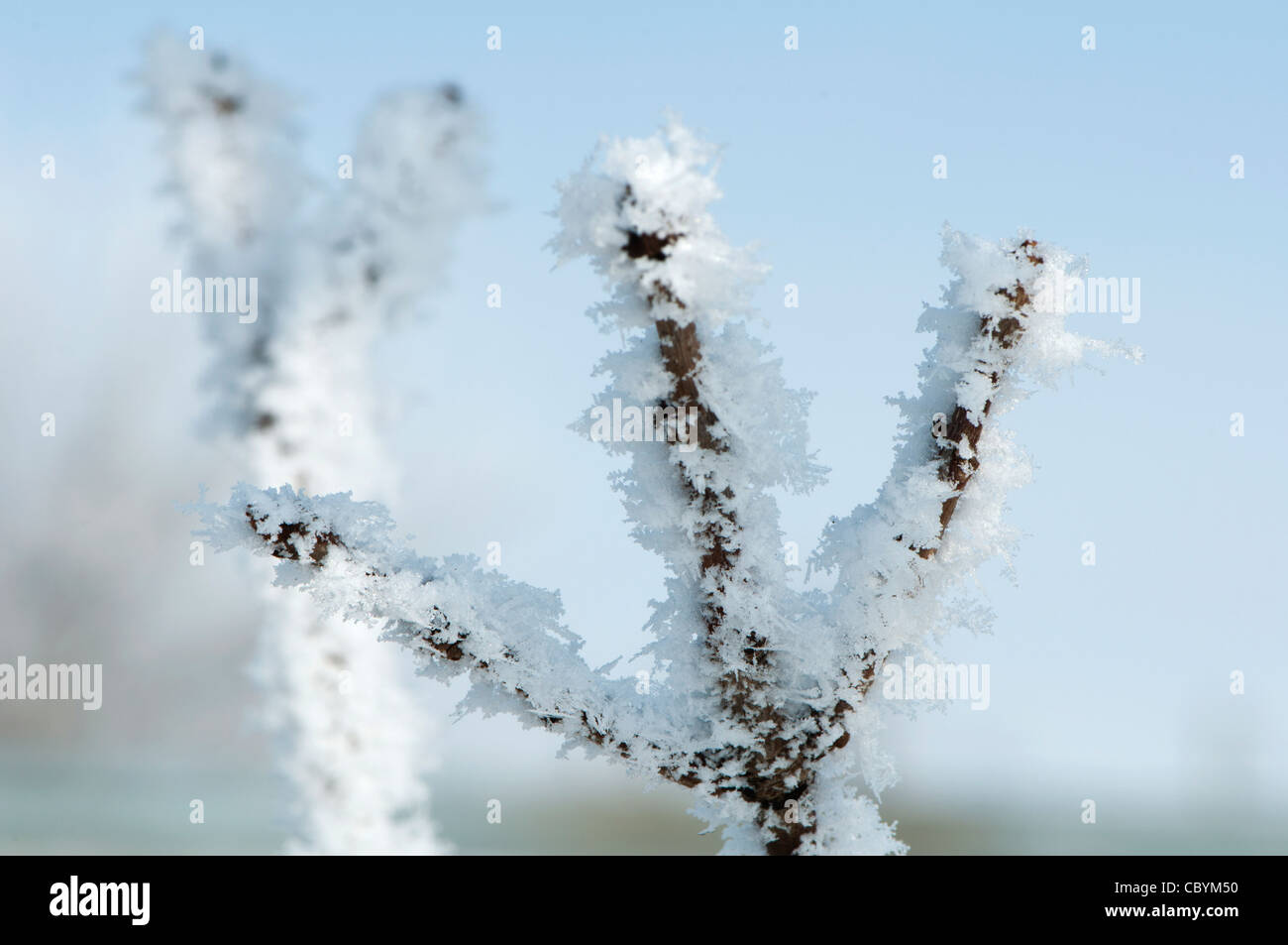 Decorate tree trunk hi-res stock photography and images - Alamy