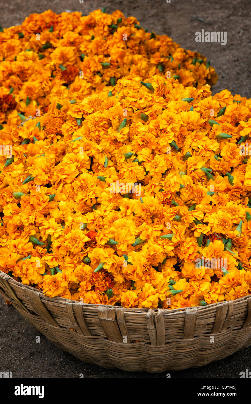 Traditional sale of marigold flower hi-res stock photography and images ...