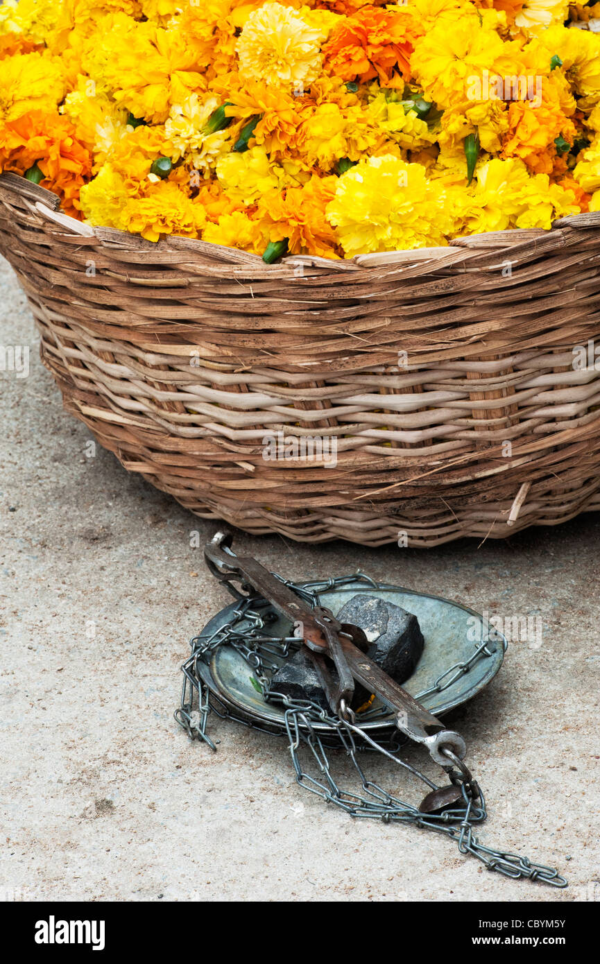 Selling Marigold flowers for making garlands on an Indian street ...