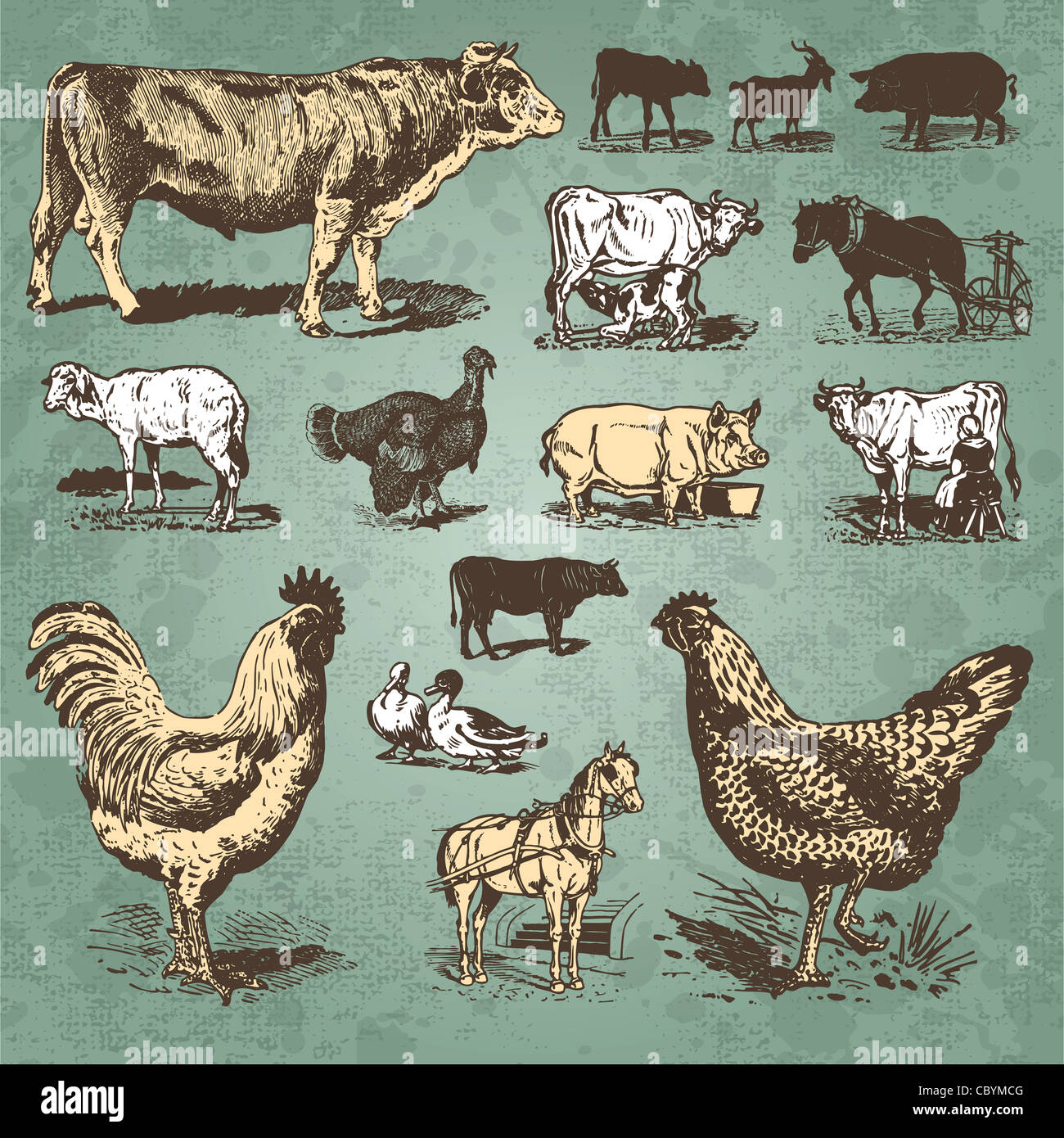 set of farm animals drawings. animal icons. vintage illustrations Stock ...