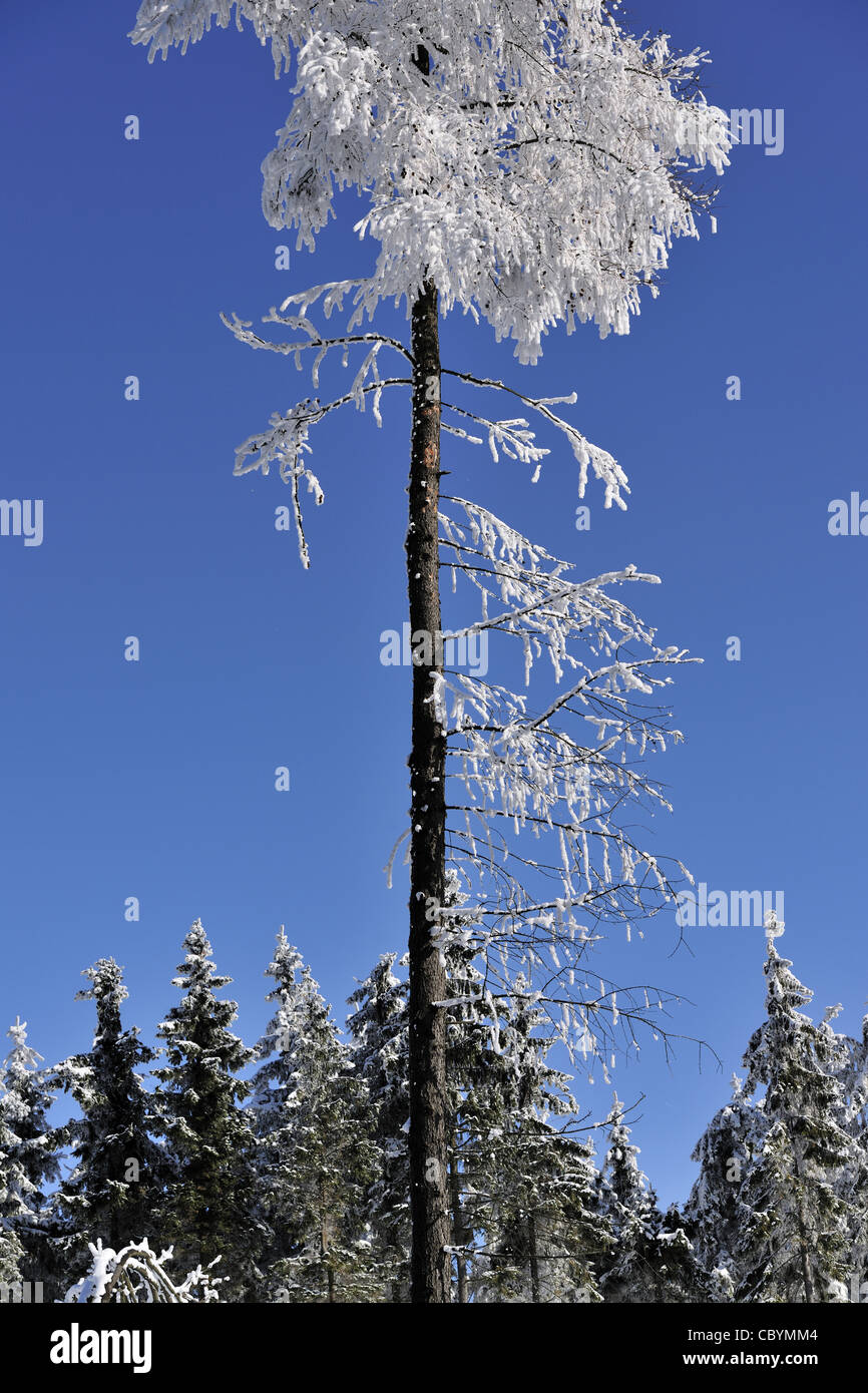 Cloudless wintry hi-res stock photography and images - Alamy