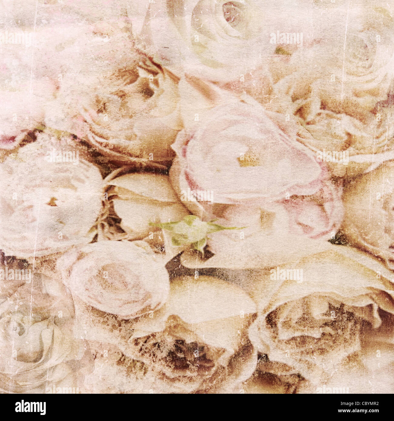 Textured background with beige roses and space for text Stock Photo - Alamy