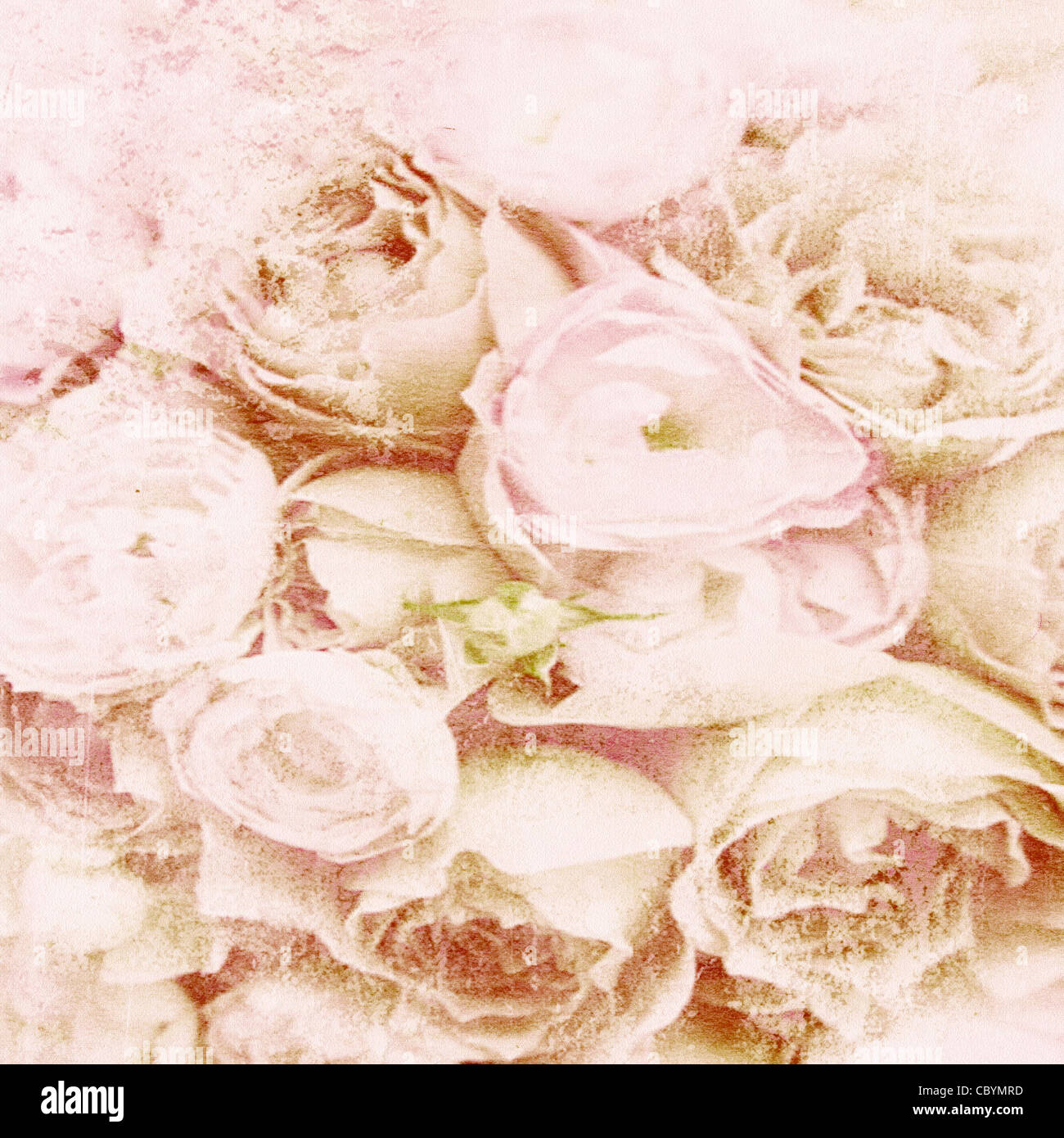 Textured background with beige roses and space for text Stock Photo - Alamy