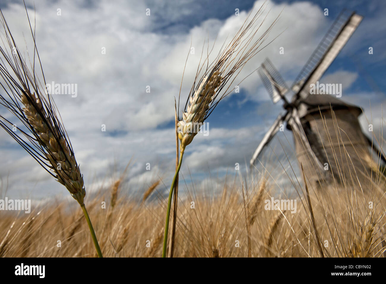 19th century stone windmill hi-res stock photography and images - Alamy