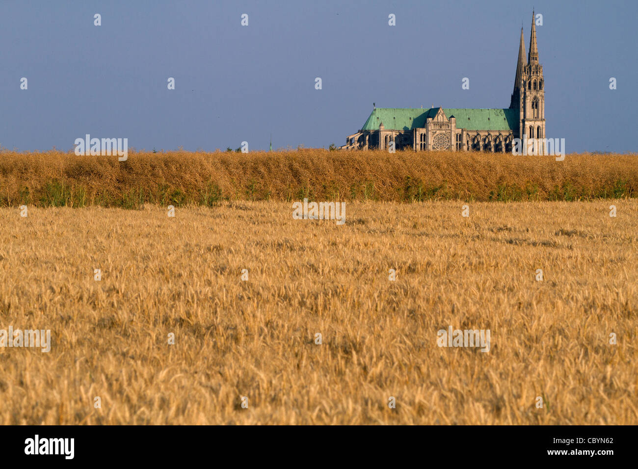 Europe France Cereal Chartres Eure High Resolution Stock Photography ...