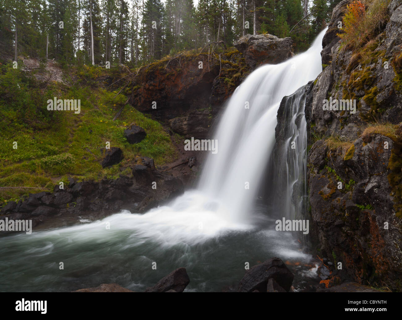 Moose Falls are a 30 foot plunge on Crawfish Creek in Yellowstone ...