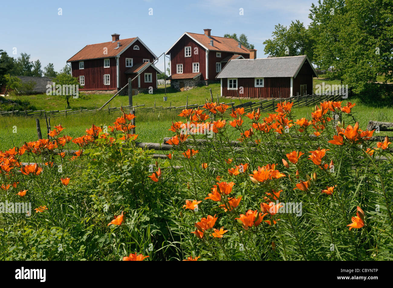 Old swedish farming village Stock Photo - Alamy
