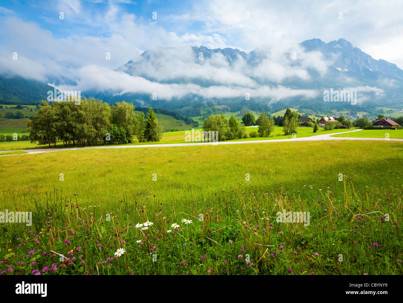 Alps mountain meadow tranquil summer view Stock Photo - Alamy