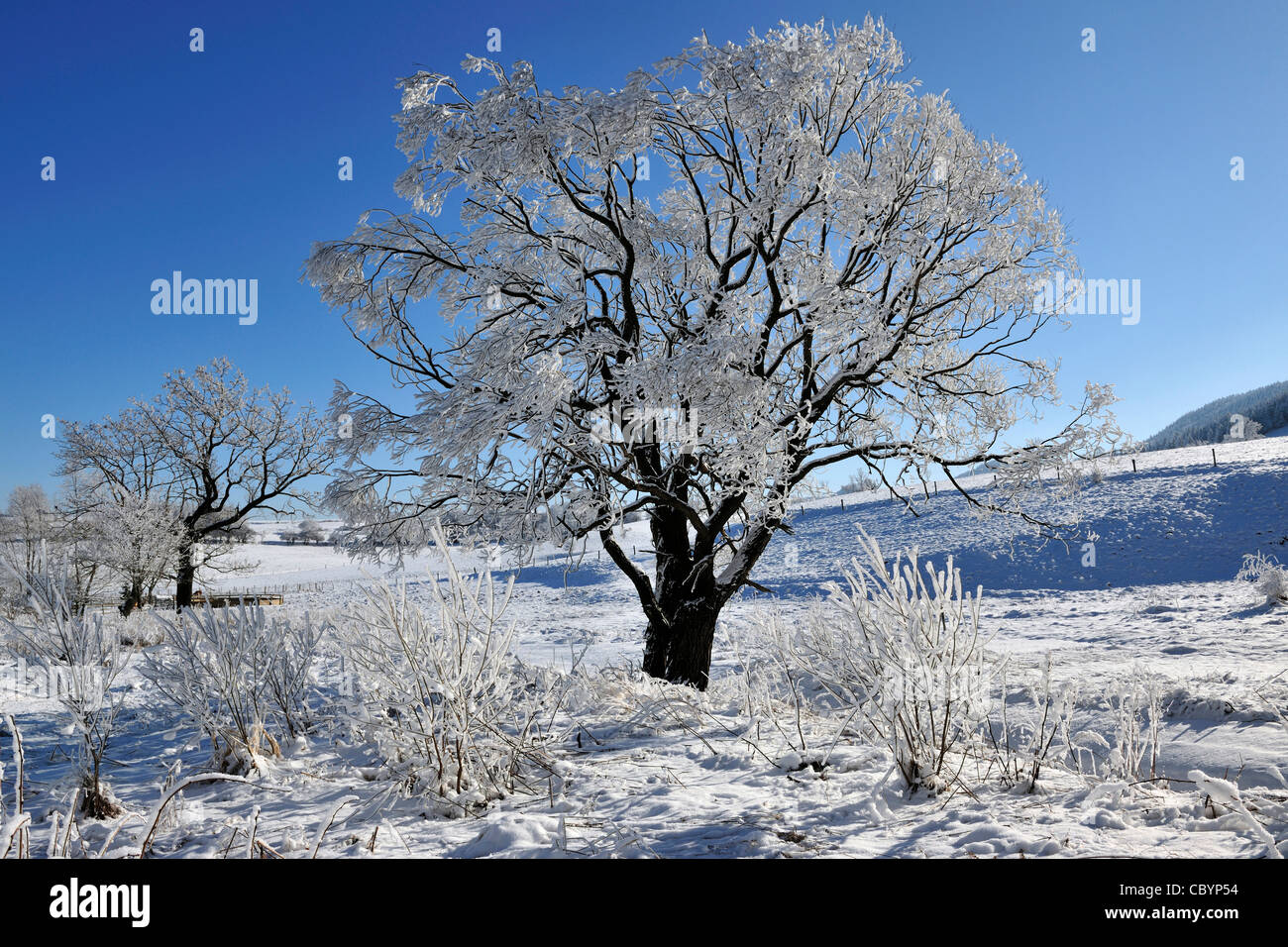 winter scene,snowy conditions,winter weather Stock Photo - Alamy