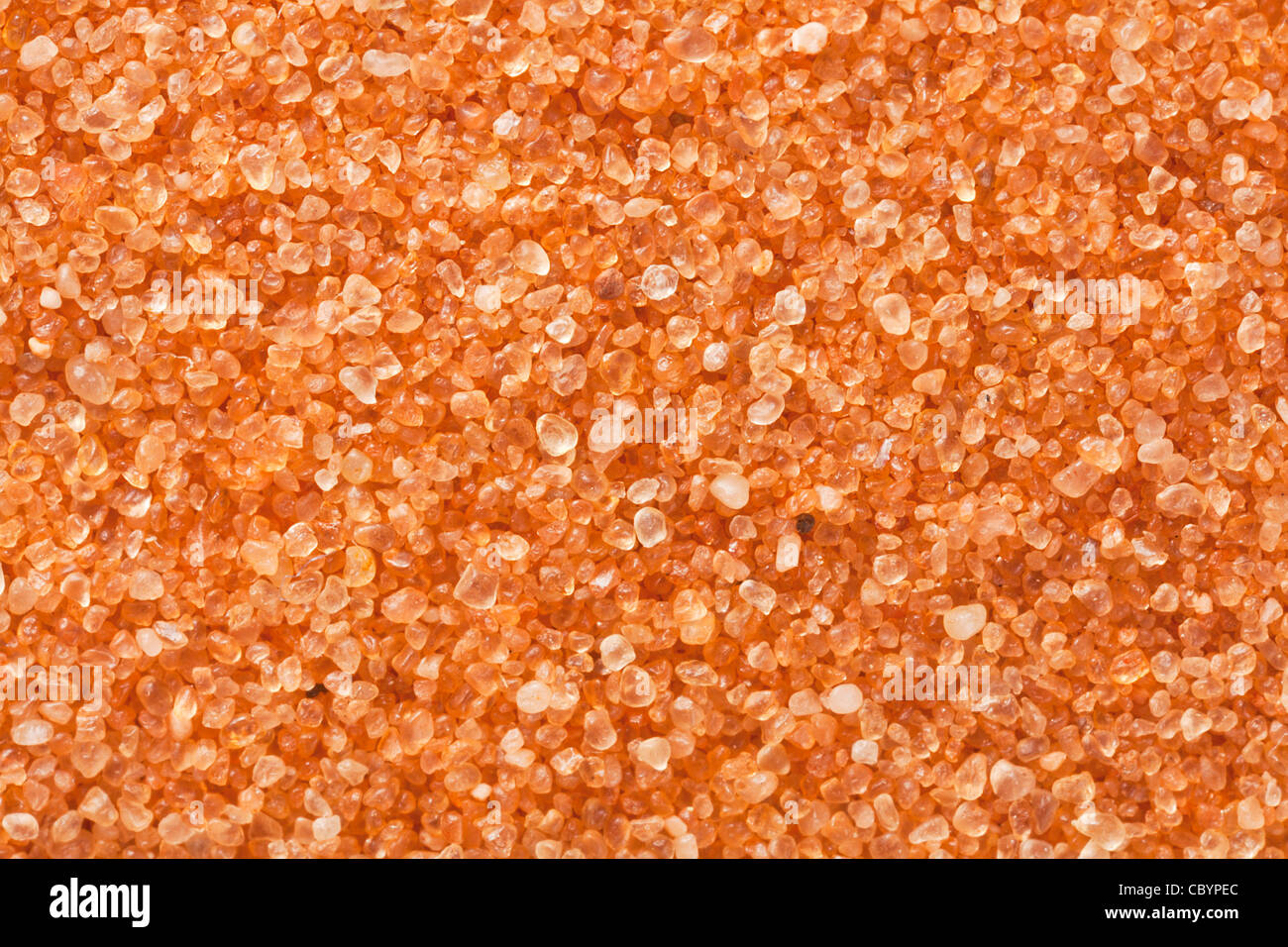 sand grain at 3 times life-size magnification, a sample from Coral Pink ...