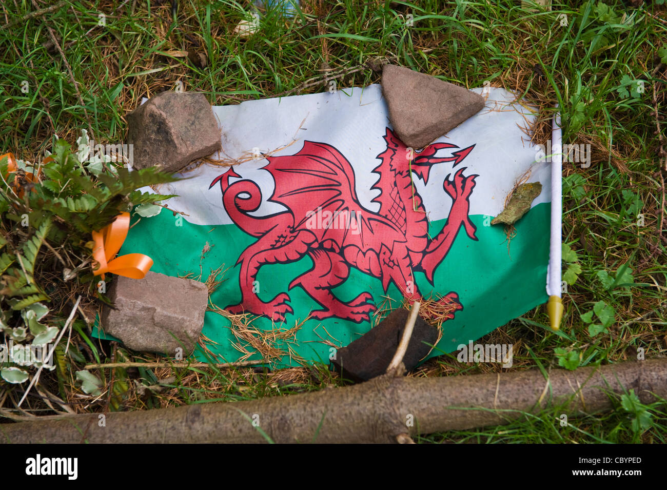 Simple military war memorial in woodland the Brecon Beacons National ...