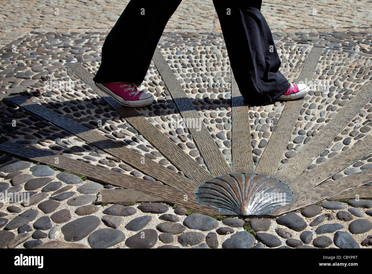 Passer person shell hi-res stock photography and images - Alamy