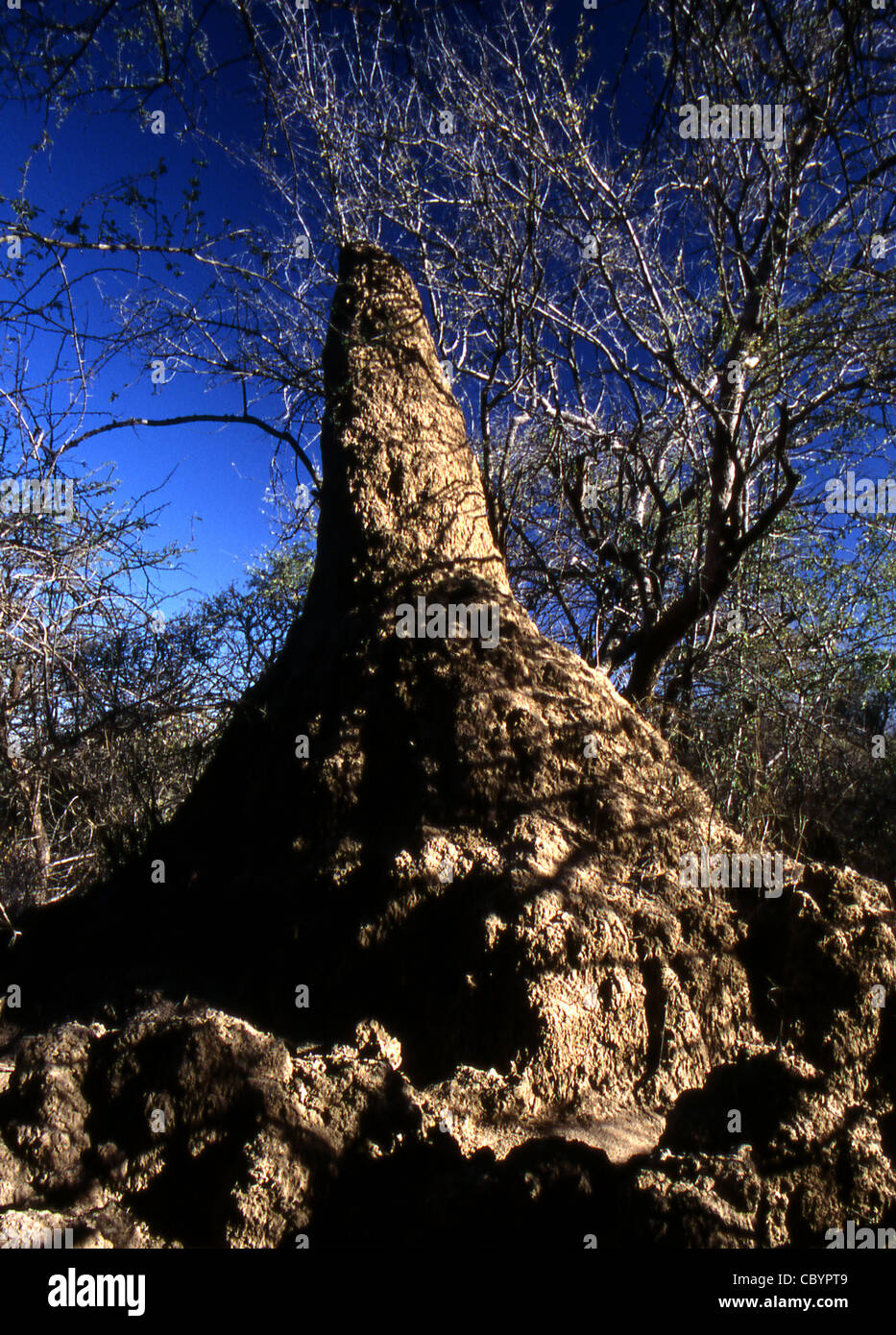 A termite mound in Namibia Stock Photo - Alamy