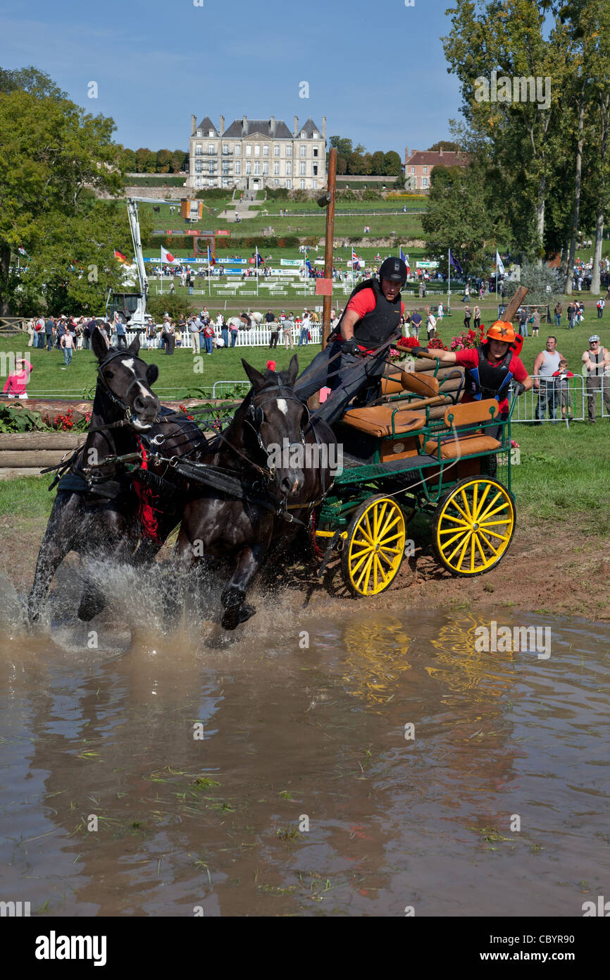 Percheron competition hi-res stock photography and images - Alamy
