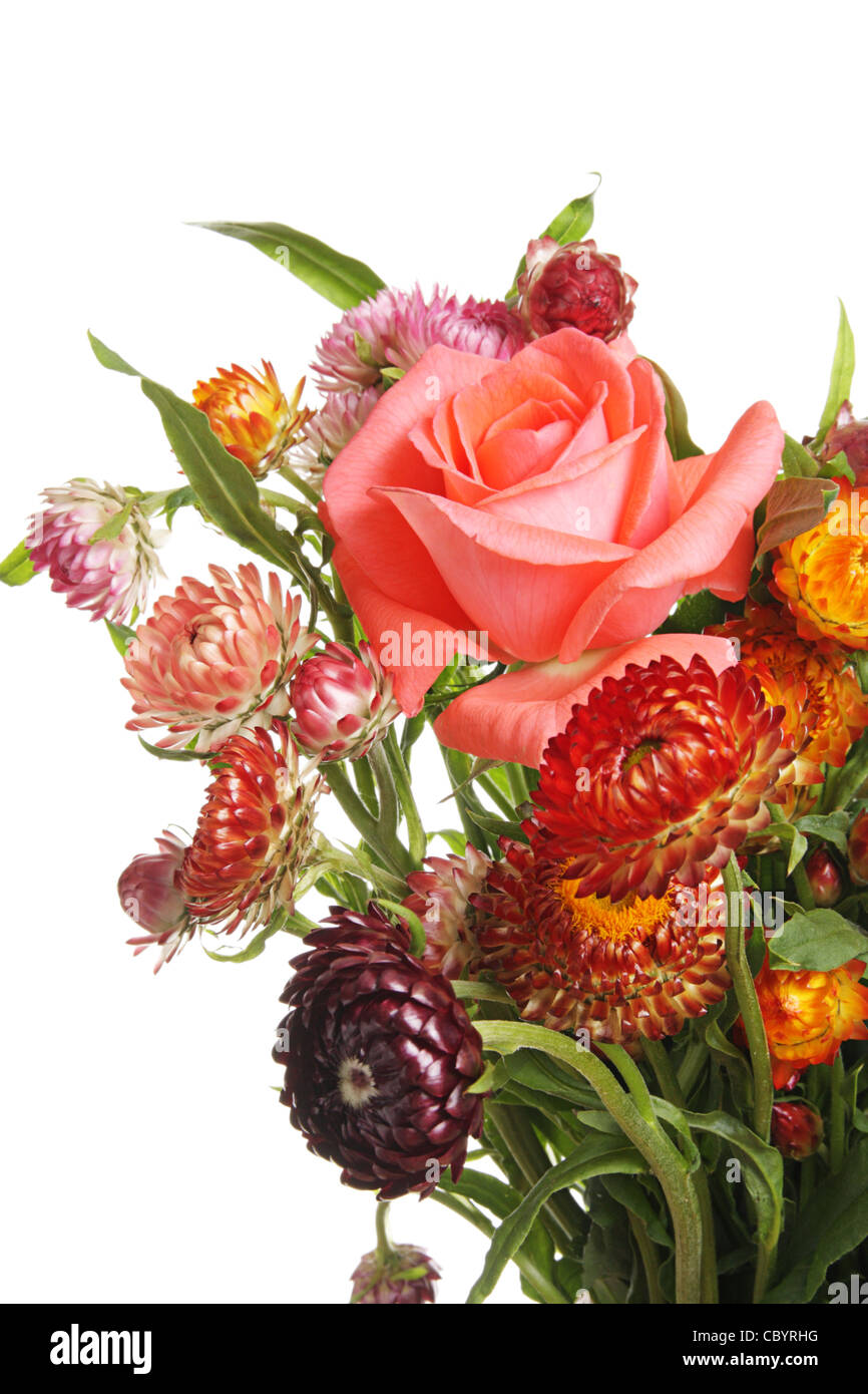 Multi colored bouquet of flower on white background Stock Photo - Alamy