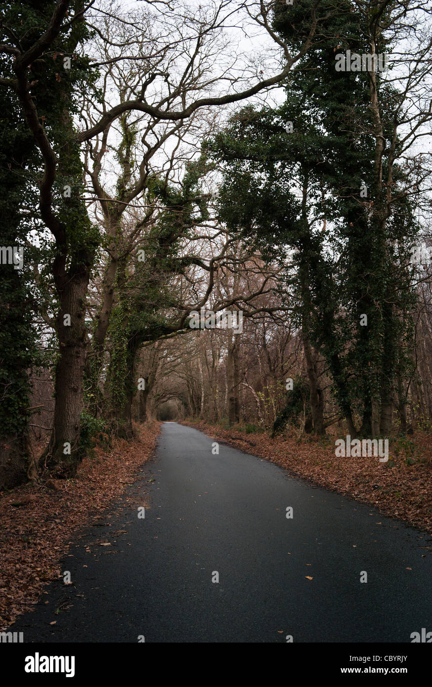 Kent country lane hi-res stock photography and images - Alamy