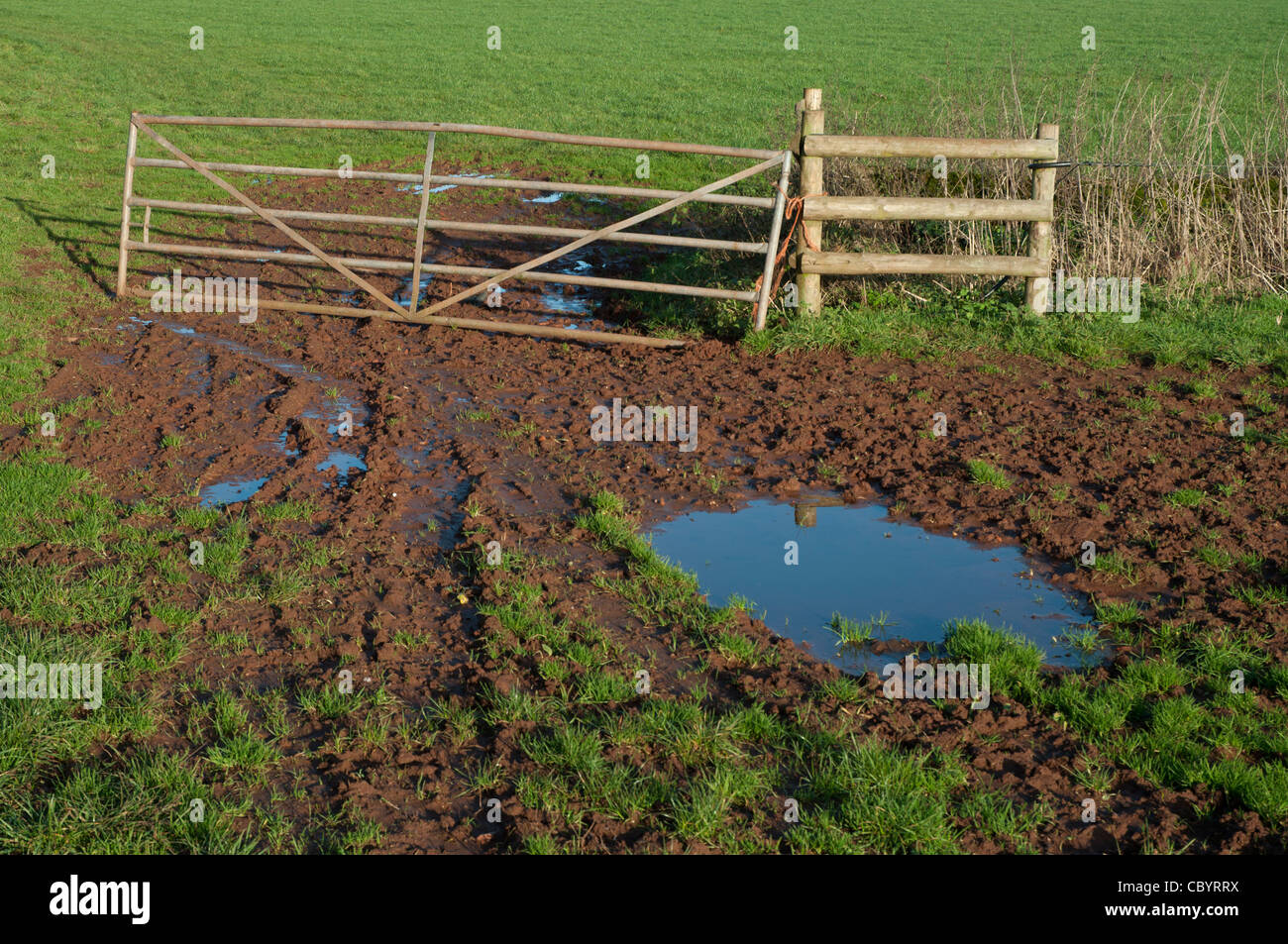 Farm gate with waterlogged ground and puddles Stock Photo - Alamy