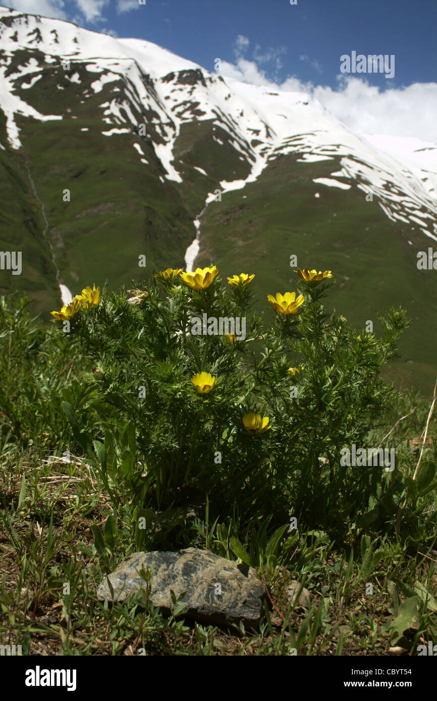 Hissar Range High Resolution Stock Photography and Images - Alamy