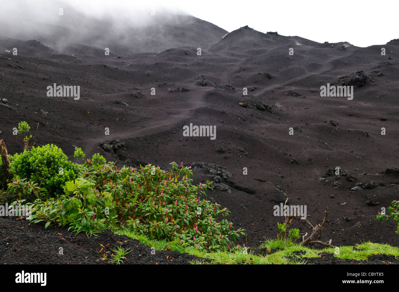 Pacaya Volcano Volcanic Gravel Summit Guatemala // PACAYA VOLCANO ...