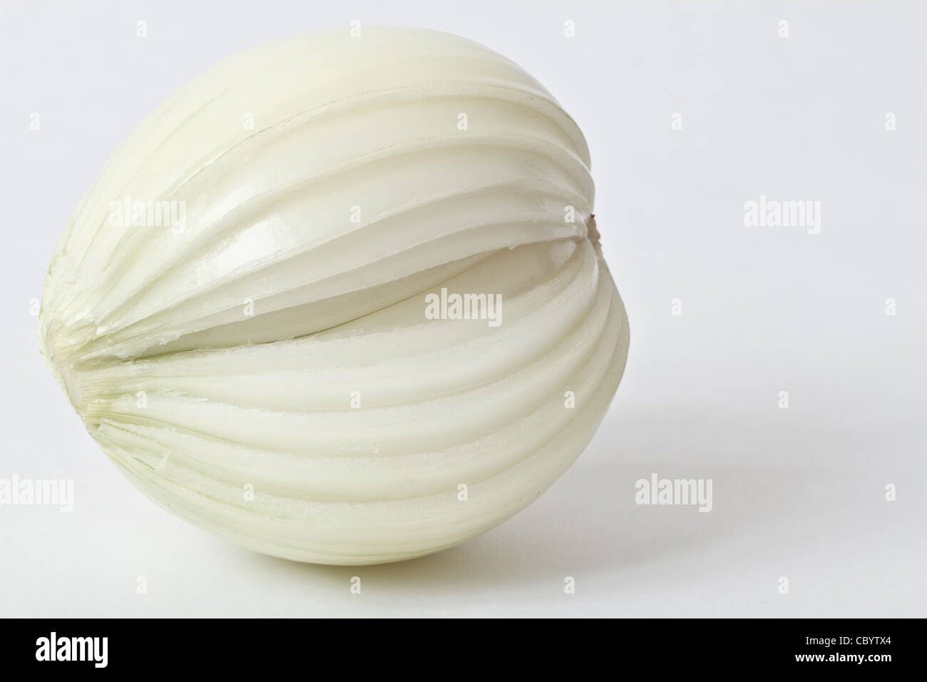 simple onion with design cut, isolated on white background Stock Photo ...