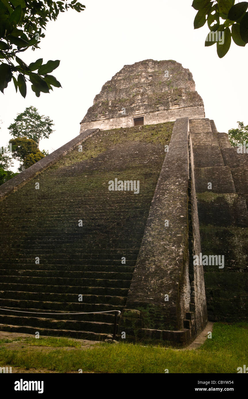 Tikal Temple V Maya Pyramid Tikal Guatemala // TIKAL, Guatemala ...