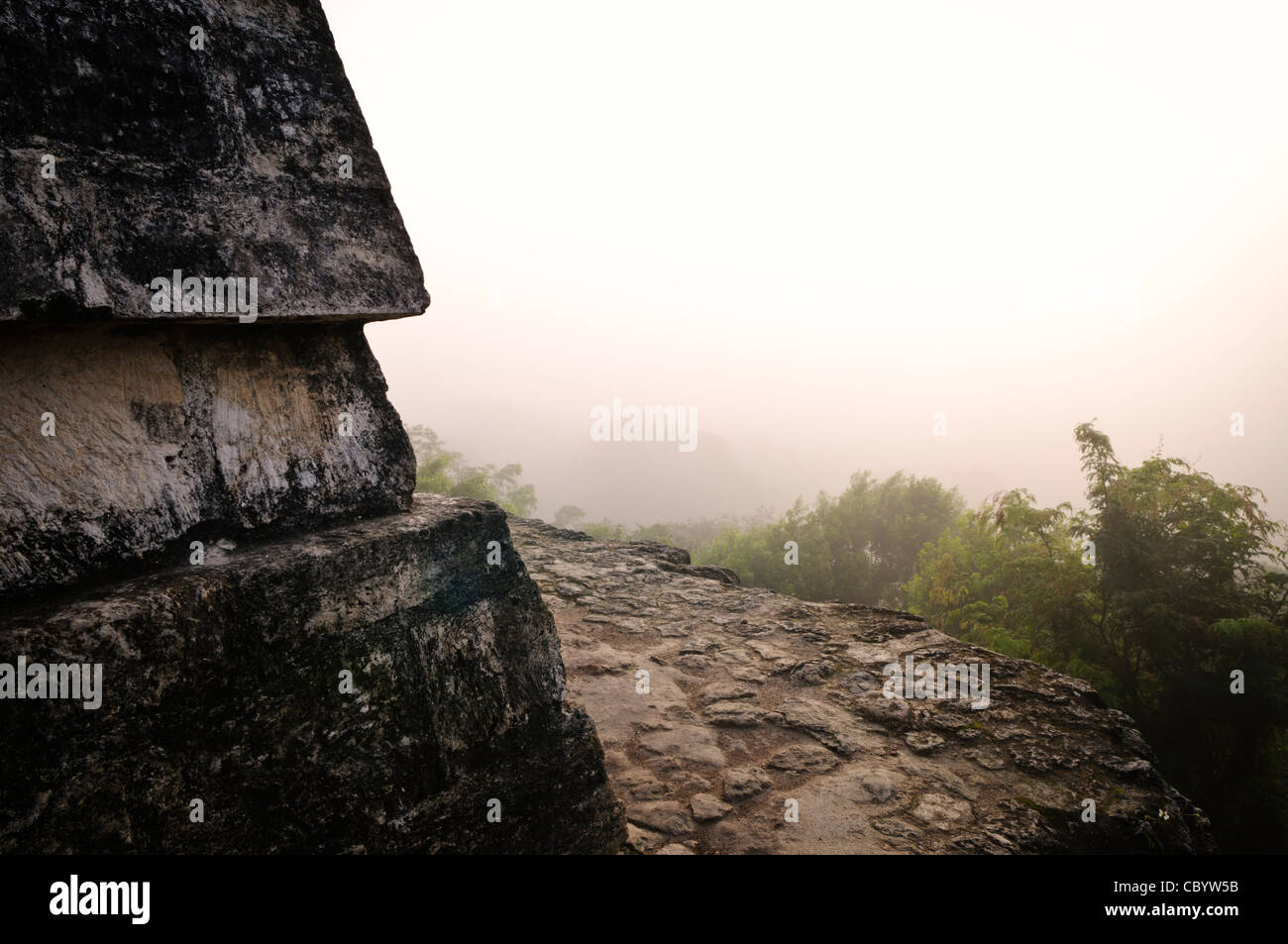 Temple IV At Sunrise Tikal Guatemala // TIKAL, Guatemala — The upper ...