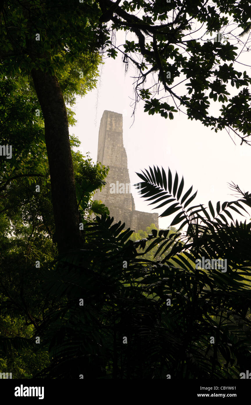 Tikal Temple V Tikal National Park Guatemala // TIKAL, Guatemala — The ...