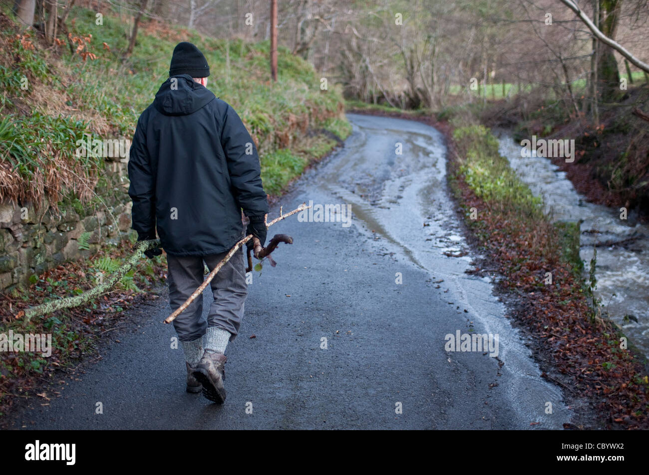 A man gathering large sticks for firewood, during a winter walk in ...