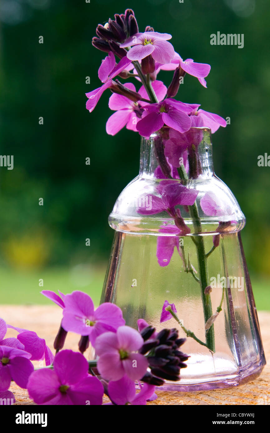 Flowers Displayed in Antique Bottle Stock Photo - Alamy