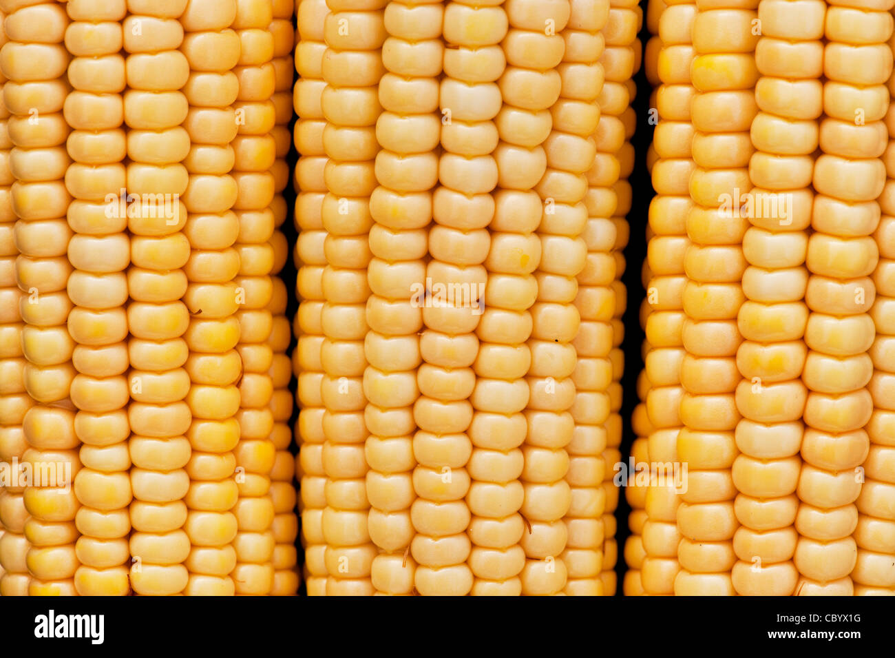 Sweetcorn cob. Corn on the cob. Maize pattern. India Stock Photo - Alamy