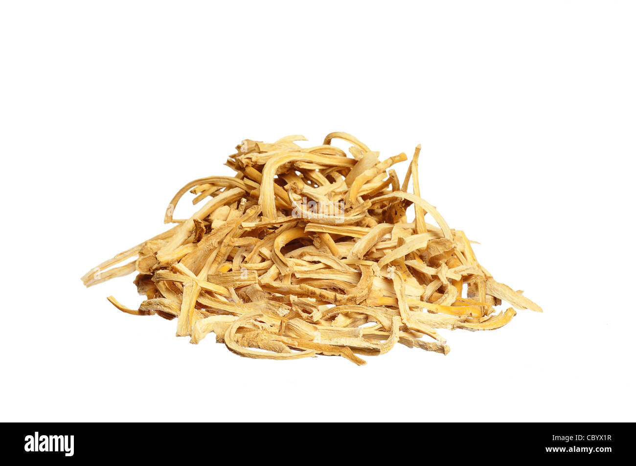 cut dried root isolated on white background Stock Photo - Alamy
