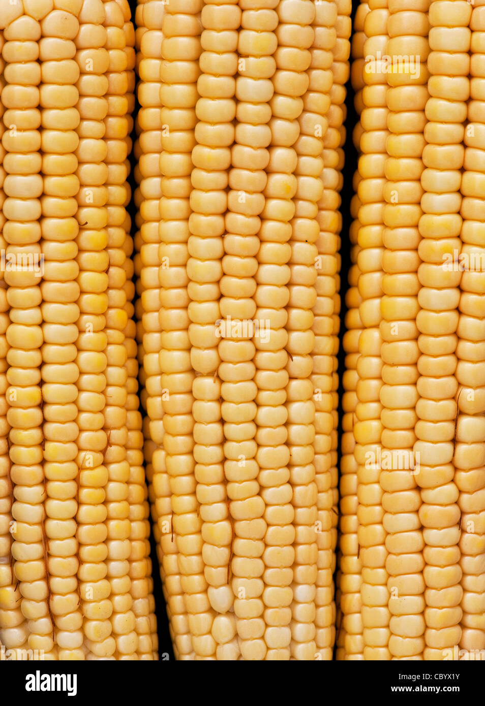 Sweetcorn cob. Corn on the cob. Maize pattern. India Stock Photo - Alamy