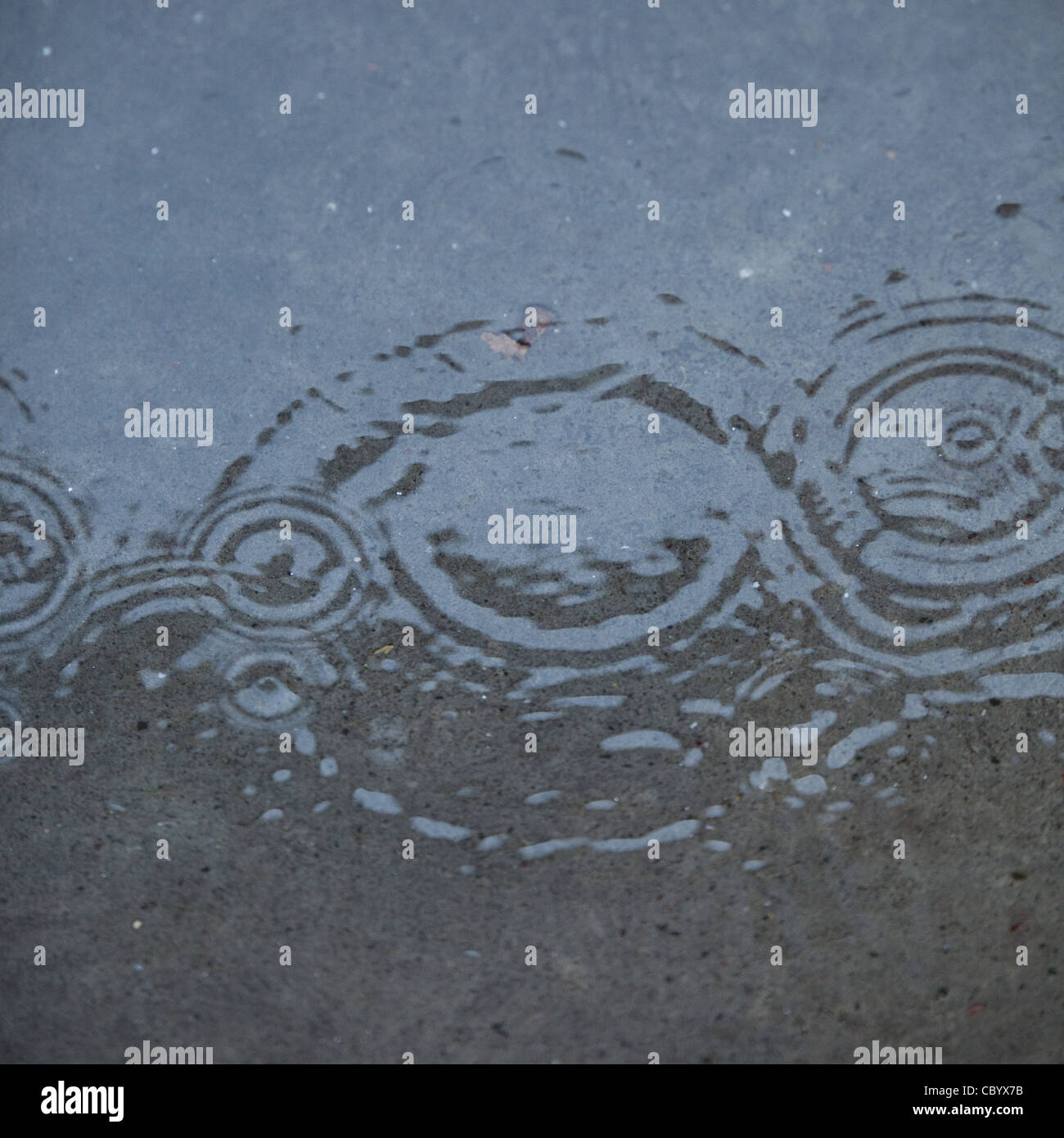 Rain Circles in a puddle Stock Photo - Alamy