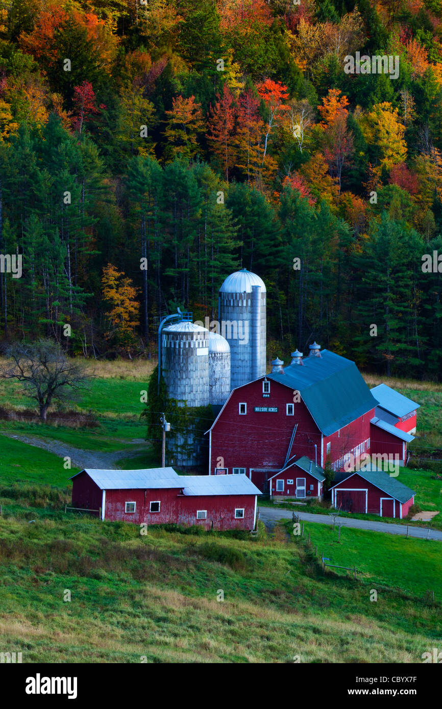 Fall colors at Hillside Acres Farm in Vermont Stock Photo - Alamy