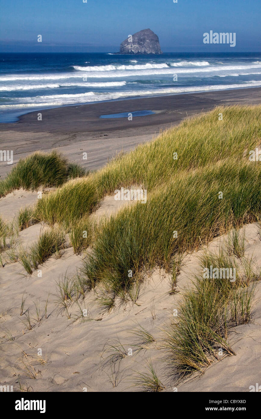 Sunny Oregon Beach Stock Photo - Alamy
