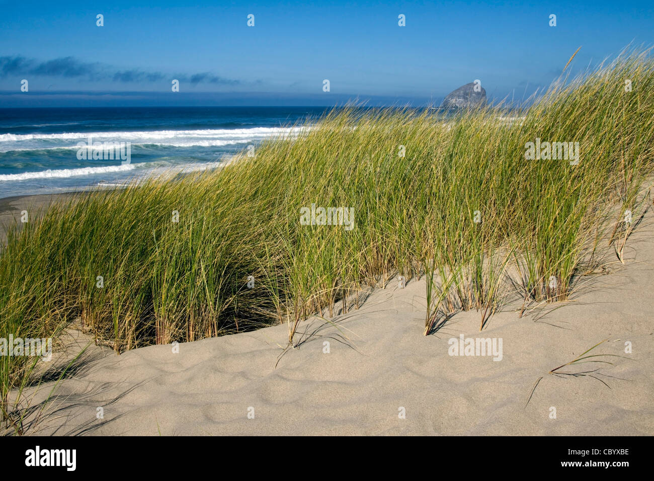 Sunny Beach Dunes with Ocean Waves and Haystack Rock in the Distance ...