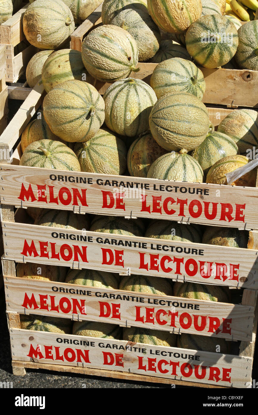CRATES OF MELONS FROM LECTOURE, GERS (32), MIDI-PYRENEES, FRANCE Stock ...