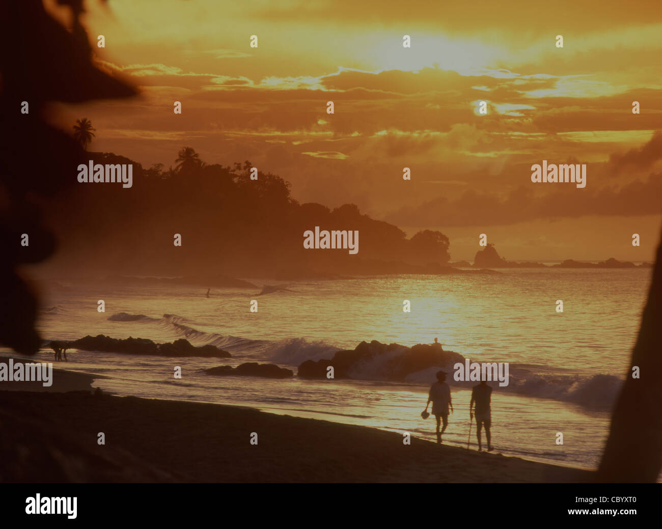 Tobago Stonehaven bay at dusk Stock Photo - Alamy