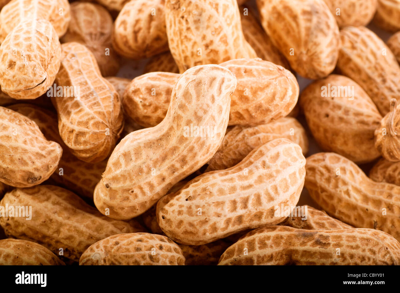 peanuts with shells Stock Photo - Alamy