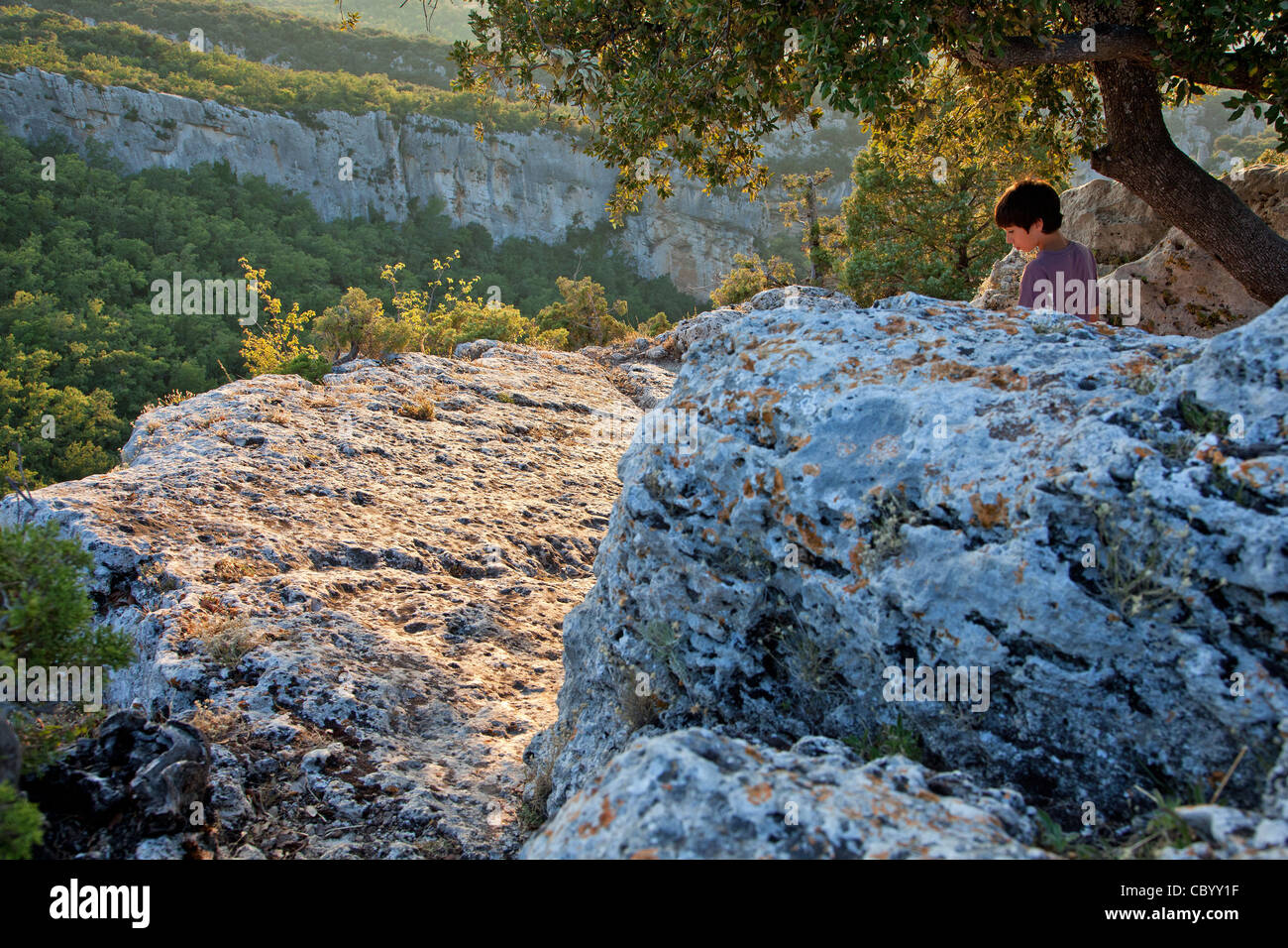 ‘VERTIGO’ CITADEL, FORT OF BUOUX, HISTORIC MONUMENT, VAUCLUSE (84 ...