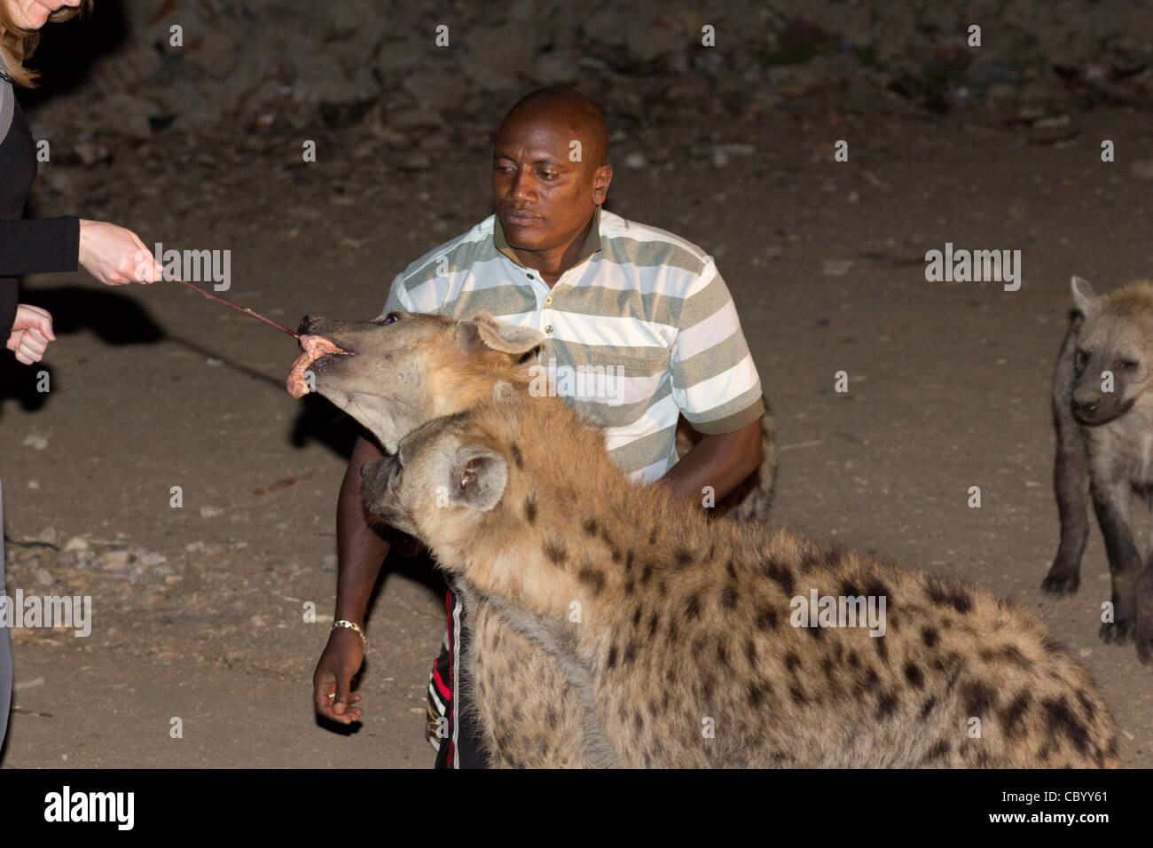 The Hyena man feeding wild hyenas outside Harar in eastern Ethiopia ...