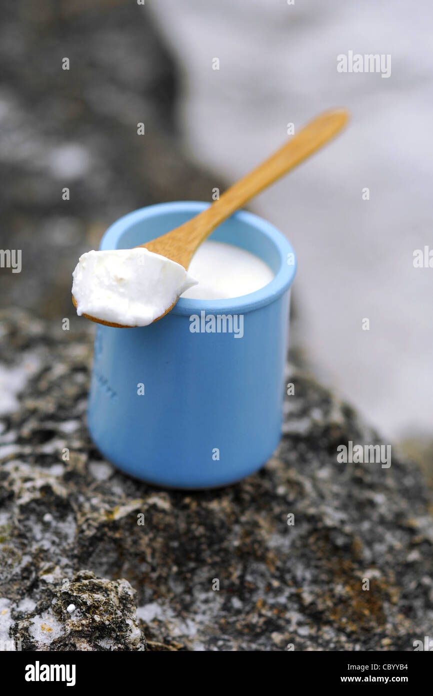 Pot yoghurt plain hi-res stock photography and images - Alamy